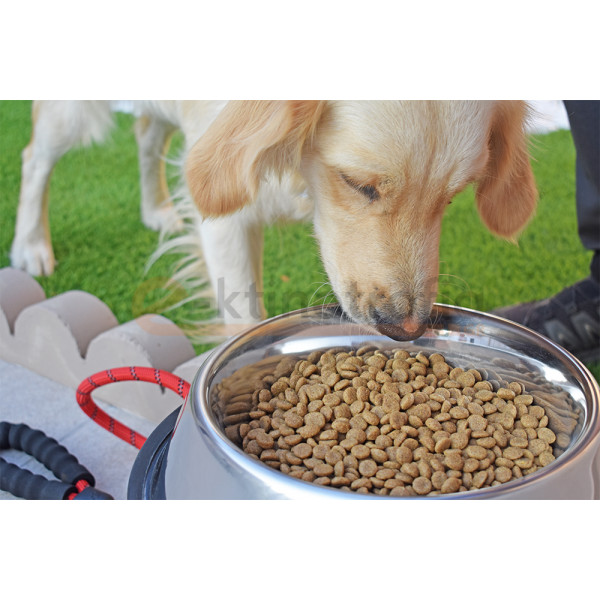 Vio Terpsis XL Line 20kg - Ξηρά τροφή με βοδινό και κοτόπουλο για Σκύλους